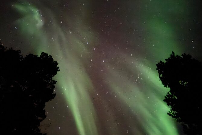 Husky Sled Ride Northern Lights Tour from Kiruna - FAQ