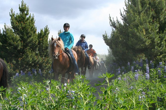 Icelandic Horseback Riding Tour from Reykjavik - Pricing and Value