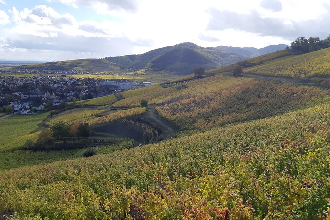 ICONICS Tour: 1/2 day on the Wine Route, visit of 2 Villages + Tasting. - The Sum Up