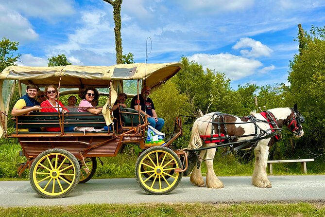 Jaunting Car Tour in Killarney National Park - Who Should Consider This Tour?