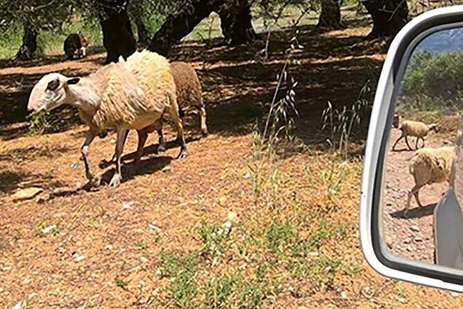 Jeep Safari 4x4 Crete real off road mountain tracks with Lunch from Hersonissos - The Practicalities and What You Need to Know