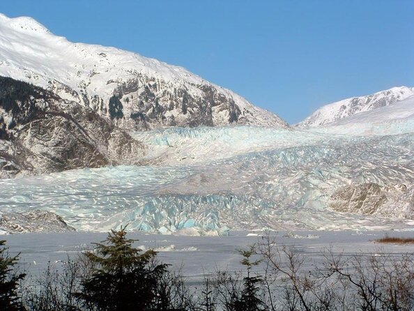 Juneau Wildlife Whale Watching & Mendenhall Glacier - The Sum Up