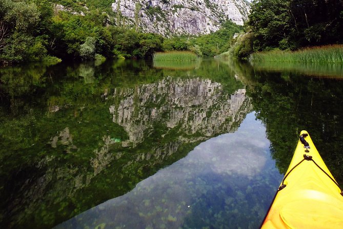 Kayaking and Snorkeling in Omi - Authentic Experiences and Traveler Feedback