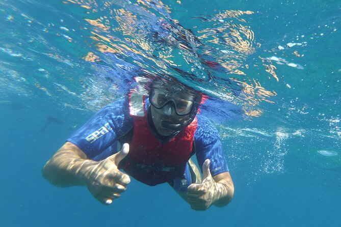 Kayaking + snorkeling with turtles - The Practical Aspects: Pricing, Group Sizes, and Logistics