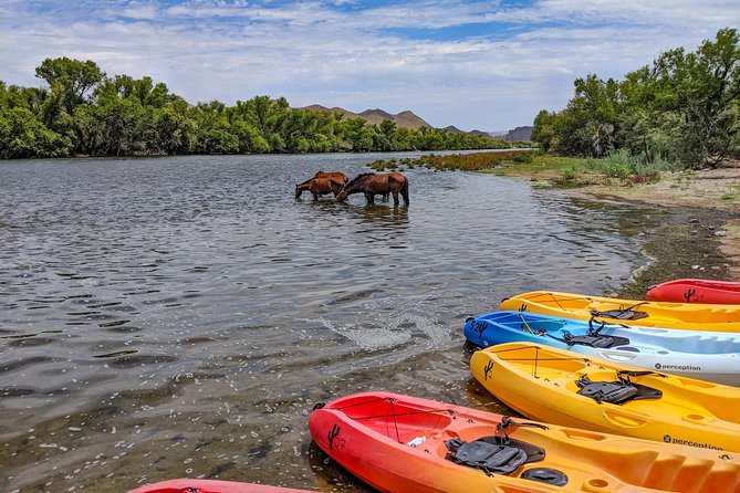 Kayaking the Salt River Foxtail Trip - Why This Tour Excels