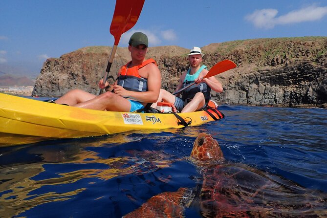 Kayaking with Dolphins and Turtles and Snorkelling in Tenerife - The Details: What Sets This Tour Apart