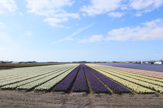 Keukenhof Gardens and Delft Guided Tour from Amsterdam - Summary and Final Thoughts