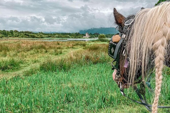 Killarney National Park Tour - FAQs