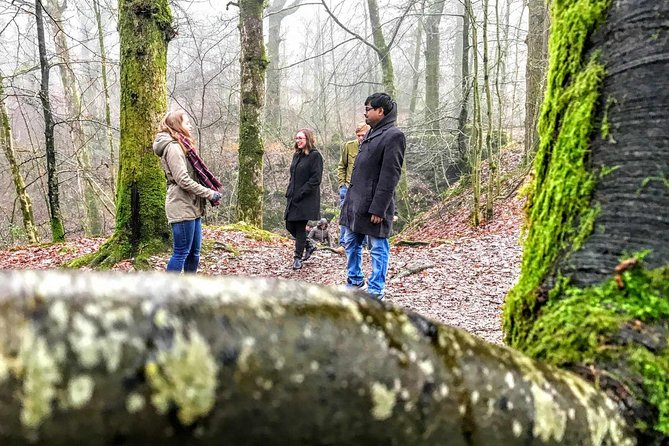 Lake District Adventure Sightseeing Day Trip from Liverpool - Real Travelers’ Perspectives