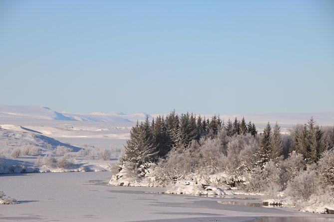 Lake Mývatn and Powerful Dettifoss Day Tour from Akureyri - The Experience: What You Can Expect