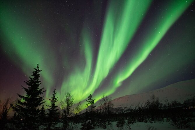 Lapland Northern Lights Tour from Tromso - The Value for Money