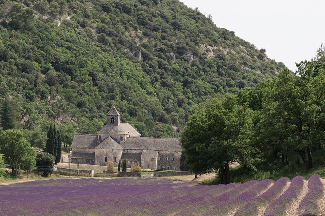 Lavender in Luberon Small Group Half-Day Trip - Who Should Book This Tour?