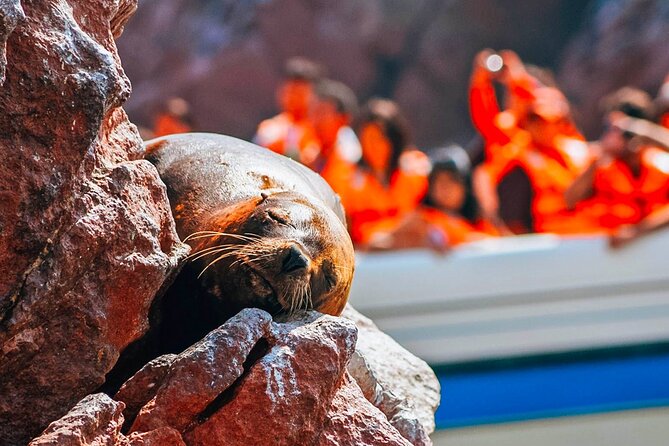 Lima Full Day Tour: Paracas and Huacachina Oasis - FAQ