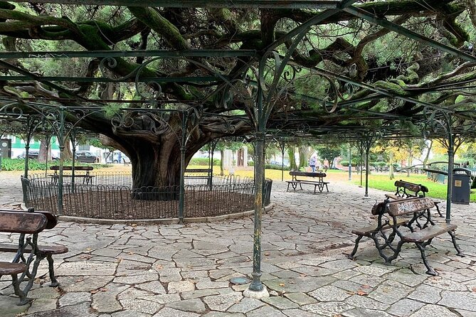 Lisbon - Small Group Walking Tour - Who Will Get the Most Out of This Tour?