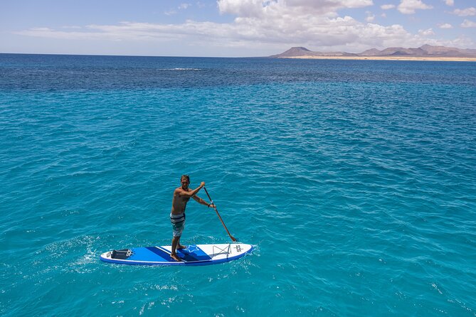 Lobos Island Half-Day Sailing Tour with Lunch - The Return and End of the Tour