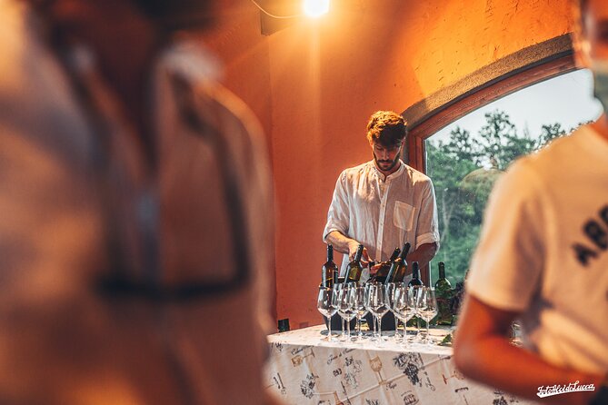 Lucca: Wine Tasting Experience - Tenuta Adamo Winery - Authentic, Well-Respected, and Delightfully Scenic