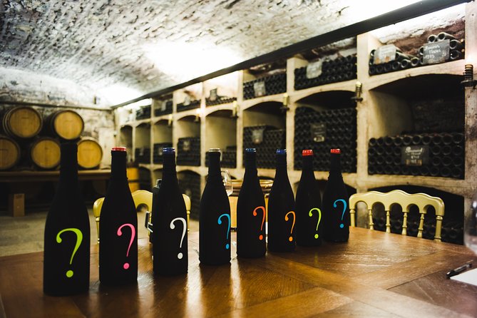 Luxury Luxury Wine Tour Experience - Who Should Book This Tour?