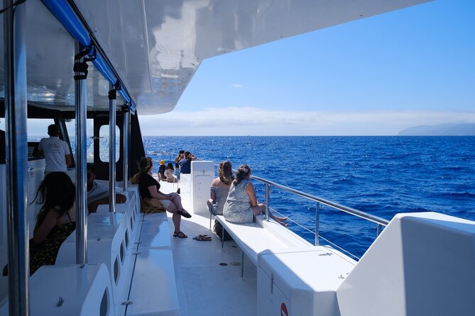Madeira Dolphin and Whale Watching on a Ecological Catamaran - Practical Tips for Booking and Attending