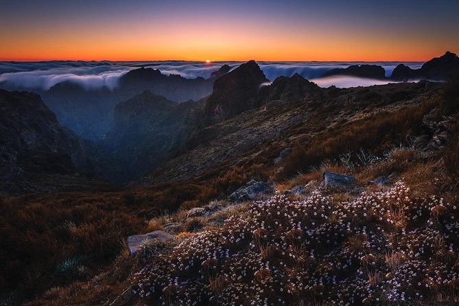 Madeira Top Sunrise - Who Would Enjoy This Tour?