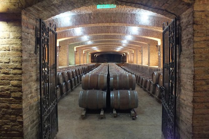Maipo Valley Wine Tour with 4 vineyards from Santiago. - Final Thoughts