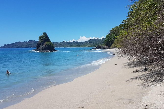 Manuel Antonio National Park Sightseeing and Wildlife Day Tour from San Jose - The Sum Up: Is It Worth It?