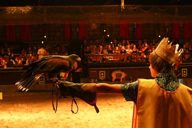 Medieval San Miguel castle with dinner-Show in South Tenerife - Authentic Experiences and Real Guest Feedback