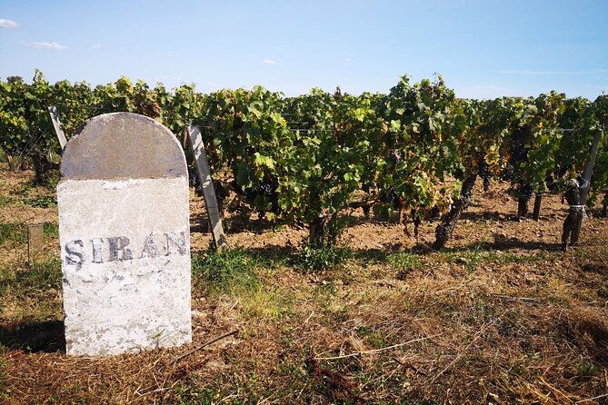 Medoc Region Wine Day Trip with Vineyard Visits & Tastings from Bordeaux - Frequently Asked Questions