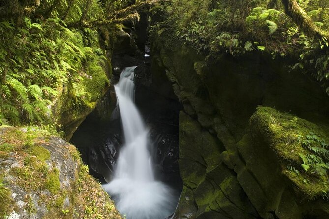 Milford Sound Premium Coach & Cruise from Queenstown with Lunch - The Experience: What Travelers Say