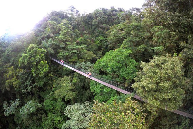 Mistico Park Hanging Bridges Guided Tour - Value for Money