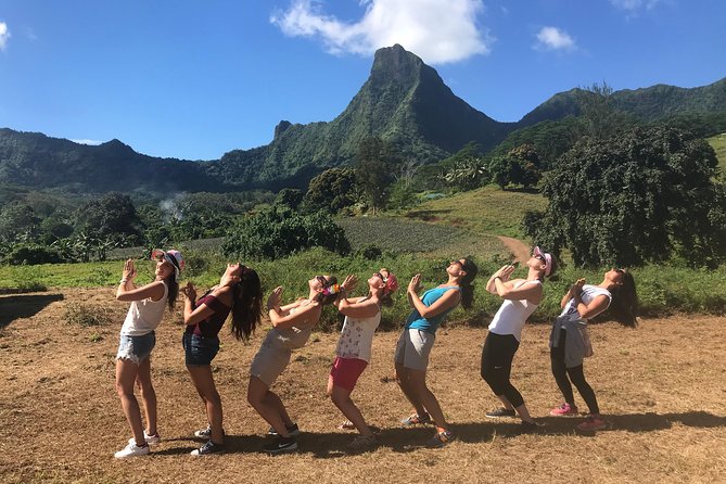 Moorea 4WD Tour Inc. Belvedere, Pineapple Farm, Magic Mountain... - Value for the Price