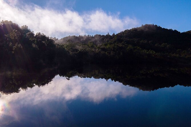 Morning World Heritage Cruise on the Gordon River from Strahan - Who Will Love This Tour?