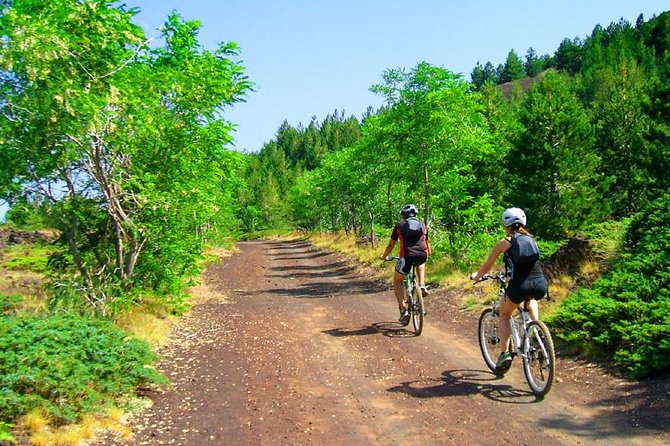 Mountain Biking Etna by MTB or E-Bike - Authenticity and Value