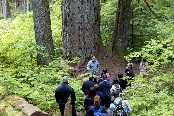 Mt. Rainier National Park Day Tour from Seattle - Final Thoughts
