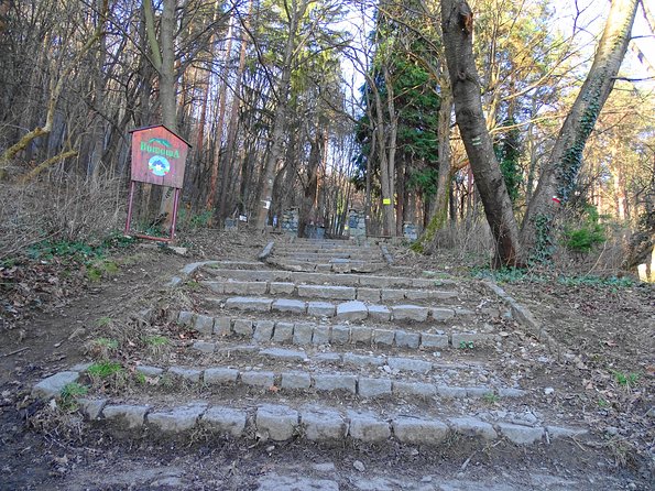 Mt. Vitosha and Boyana Waterfall Hiking Tour from Sofia - Final Thoughts: Who Should Consider This Tour?