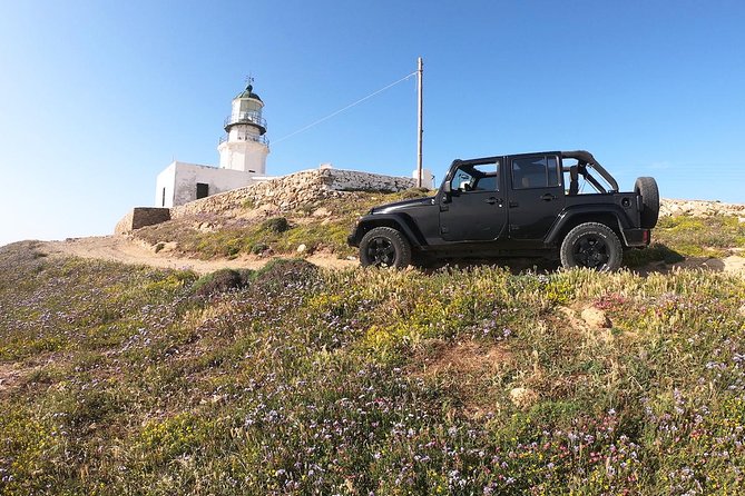 Mykonos Wild Experience Tour - The Bottom Line: Who Will Love This Tour?
