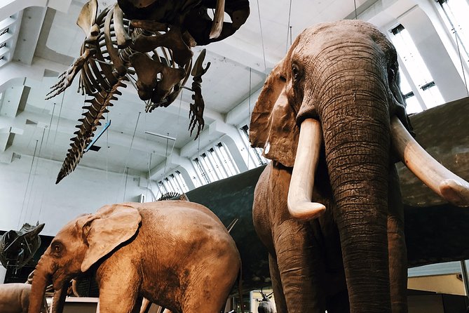 Natural History Museum London - Exclusive Guided Museum Tour - Practical Tips for Your Visit