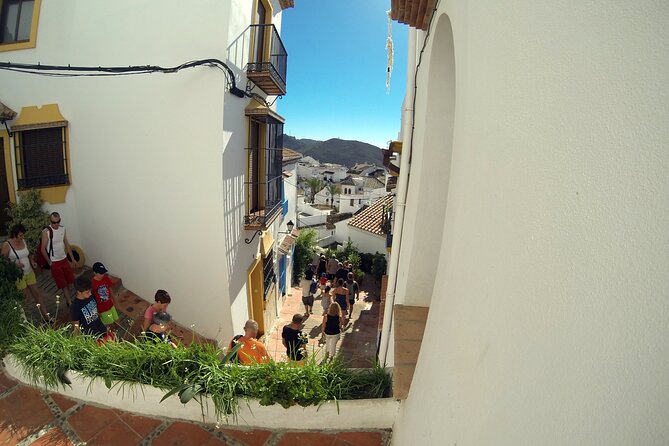 Natural Parck Jeep Eco Tour from Costa del Sol - What’s Included and What’s Not