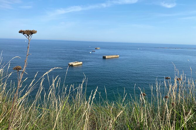 Normandy American & British DDay Beaches Halfday Tour from Bayeux - Analyzing the Value