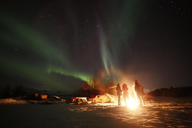 Northern lights photography tour - Analyzing the Cost and Value