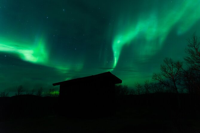 Northern Lights Tour from Kiruna to Abisko with Dinner - Included and Not Included