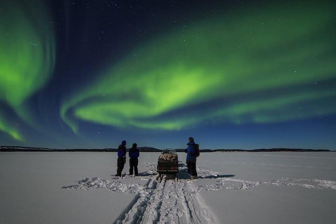 Northern lights tour to Lake Inari from Ivalo, Reindeers & Dinner - The Dining Experience: Authenticity and Comfort
