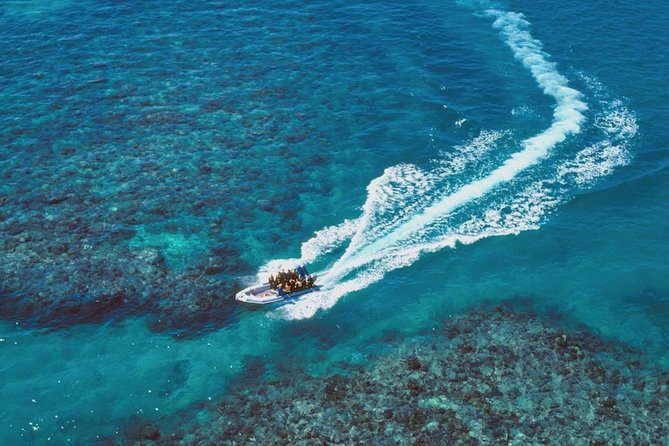 Ocean Freedom Great Barrier Reef Luxury Snorkel and Dive Cruise - Authentic Insights from Travelers