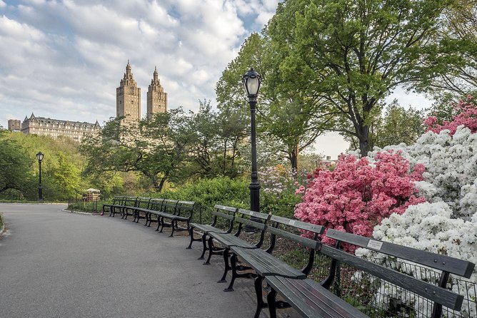 Official NYC Horse Carriage Rides in Central Park since 1979 - Booking and Practical Details