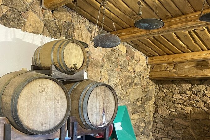 Olbia LONGEVITY TOUR in an ancient village: pasta class,wine,food - What’s Included and What to Consider