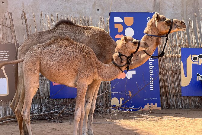 Old Dubai tour: Local Market, Tasting, Dubai creek with Abra ride - Markets of Gold and Spices