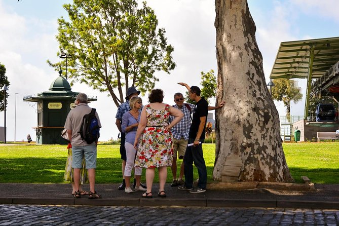 Old Funchal Walking Tour - The Experience in Practice: Values and Practicalities