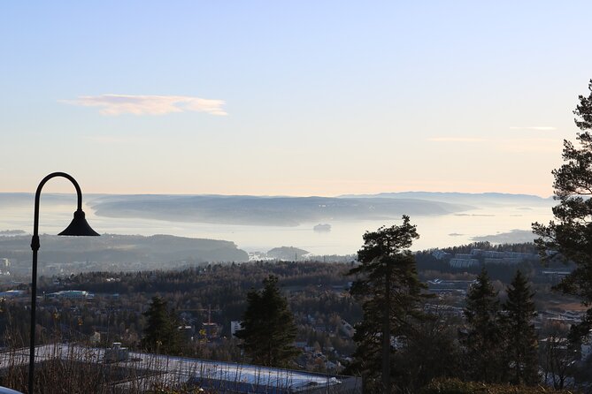 Oslo City Highlights with Fjord Cruise - Cost and Value Analysis