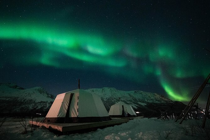 Overnight Stay with Reindeer Sledding & Feeding - Analyzing Value and Practicalities