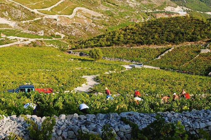 Oysters & Wine Tour From Dubrovnik (Small Group) - Authentic Experiences and What You’ll Remember
