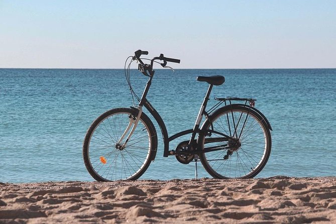 Palma de Mallorca Easy Bike Tour - Practical Details and Value